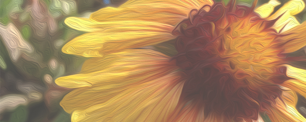 New Moon…planting seeds | Auntie Owl